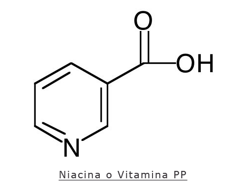 Gli Alimenti Ricchi di Vitamina B3 o Niacina o Vitamina PP – Vivere Meglio