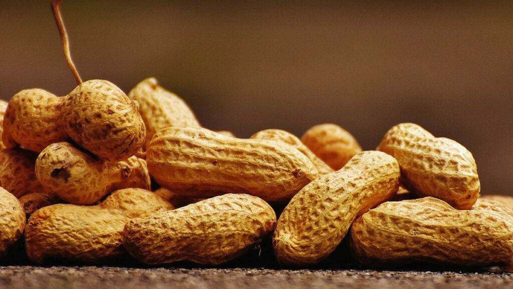 Arachidi (noccioline): proprietà nutritive e consigli – Vivere Meglio